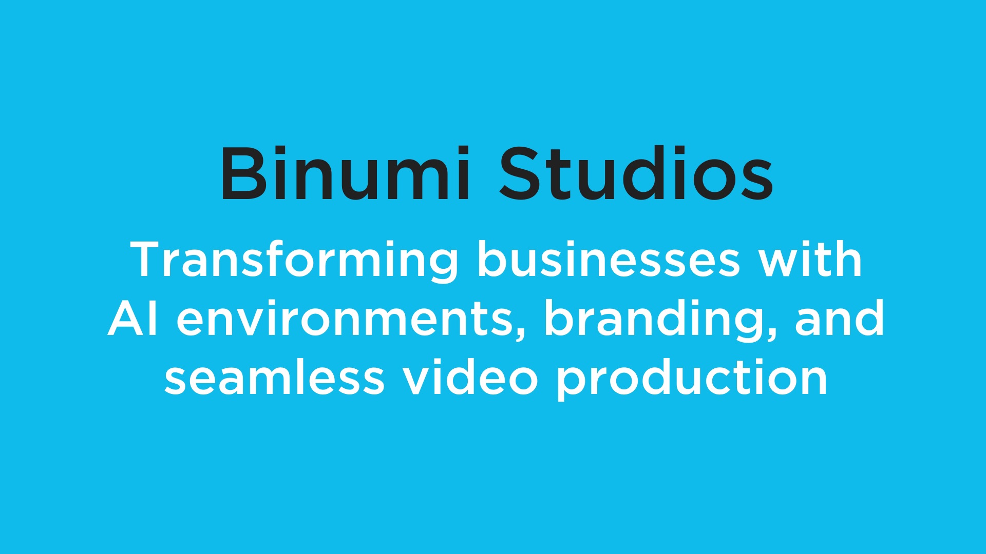 binumi.com